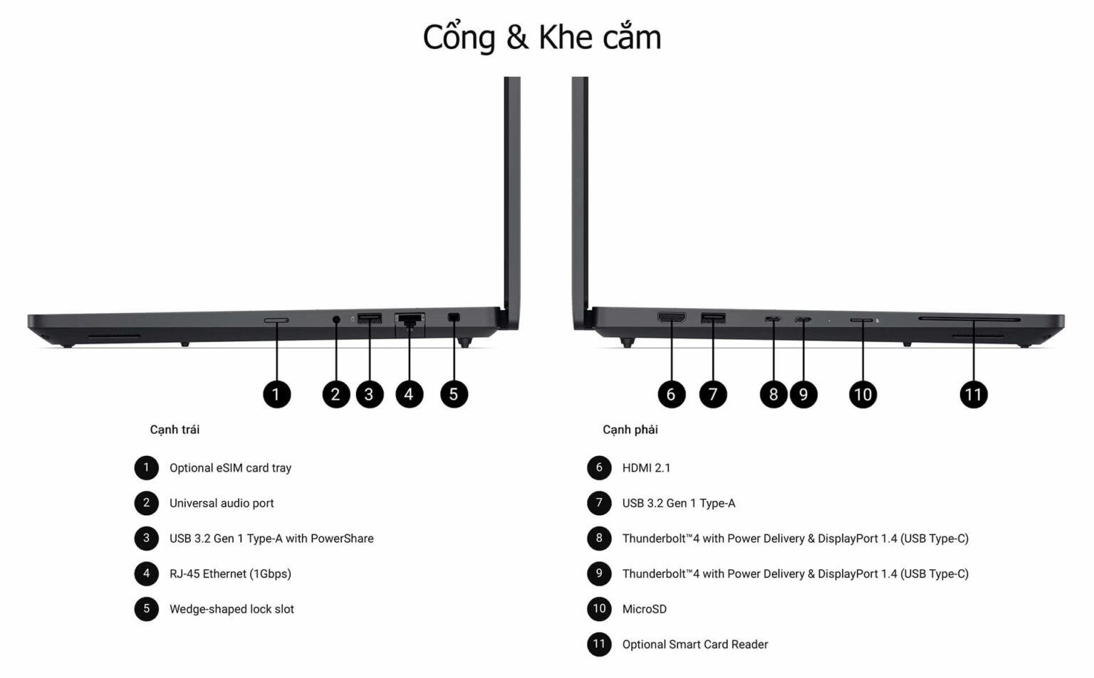 Dell Pro Max 16 MC16250 - Workstation Cao Cấp (2025) | Chính hãng | Giá ...